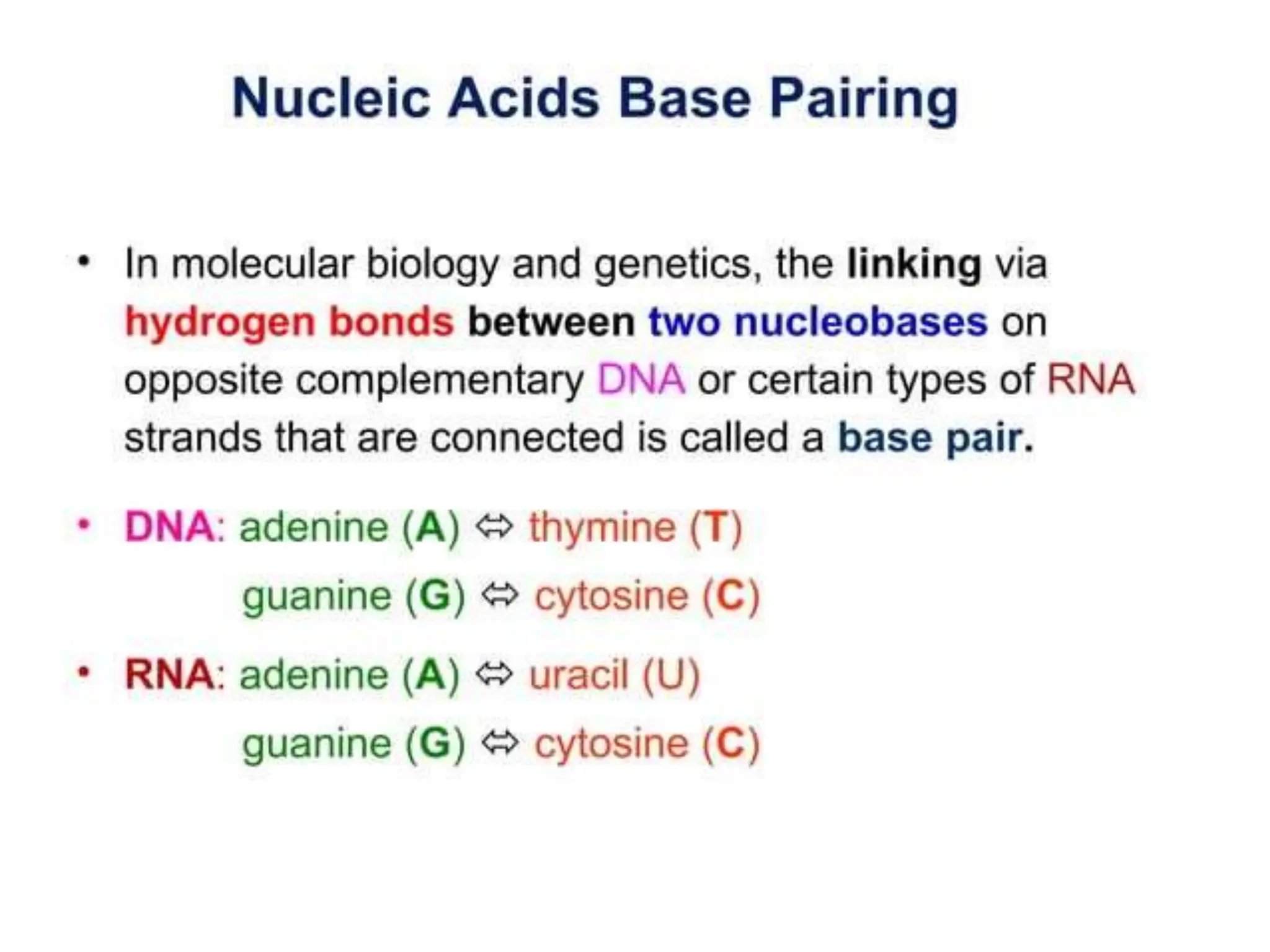 DNA and RNA REPLICATION overview. .pptx