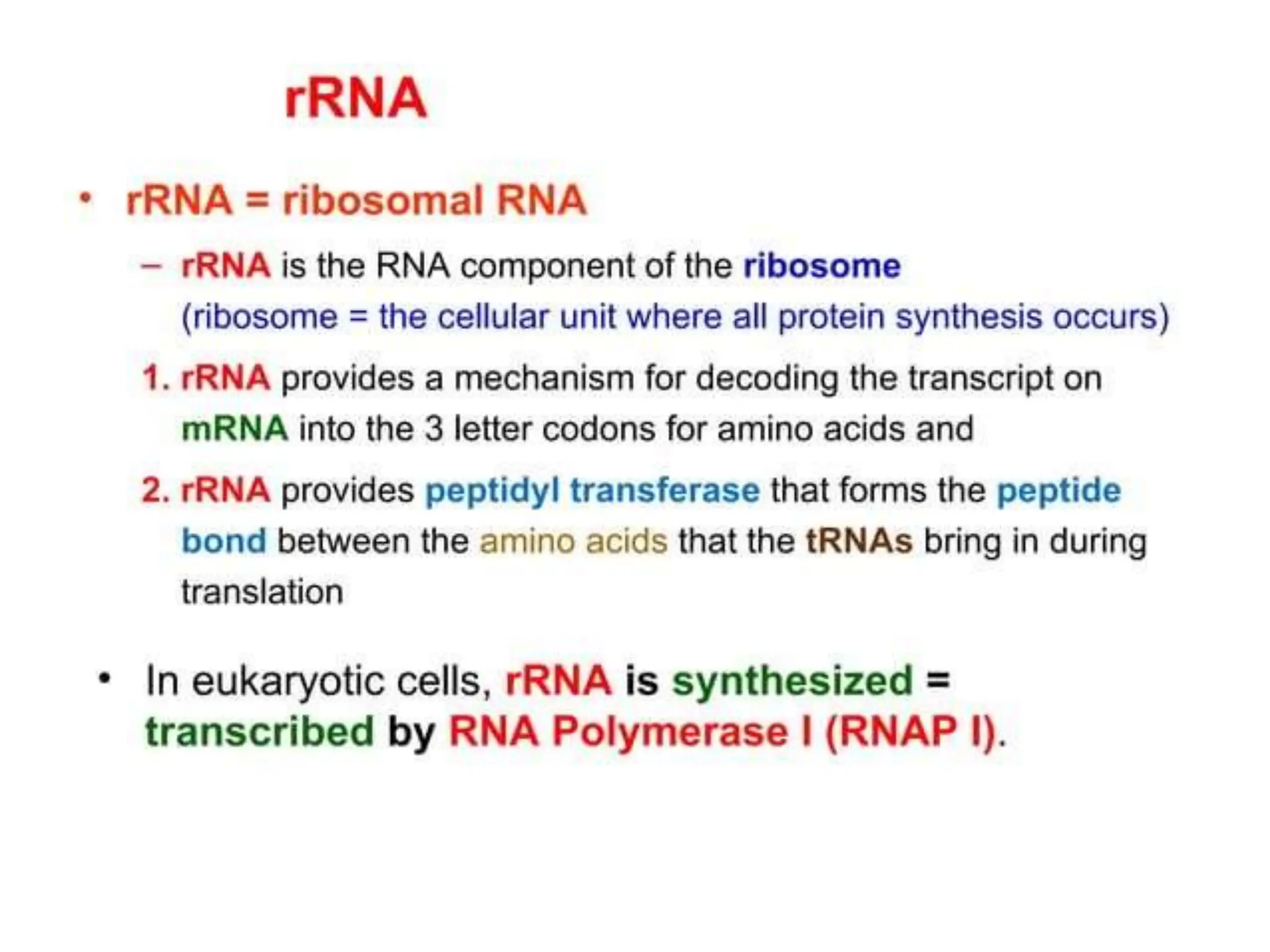 DNA and RNA REPLICATION overview. .pptx