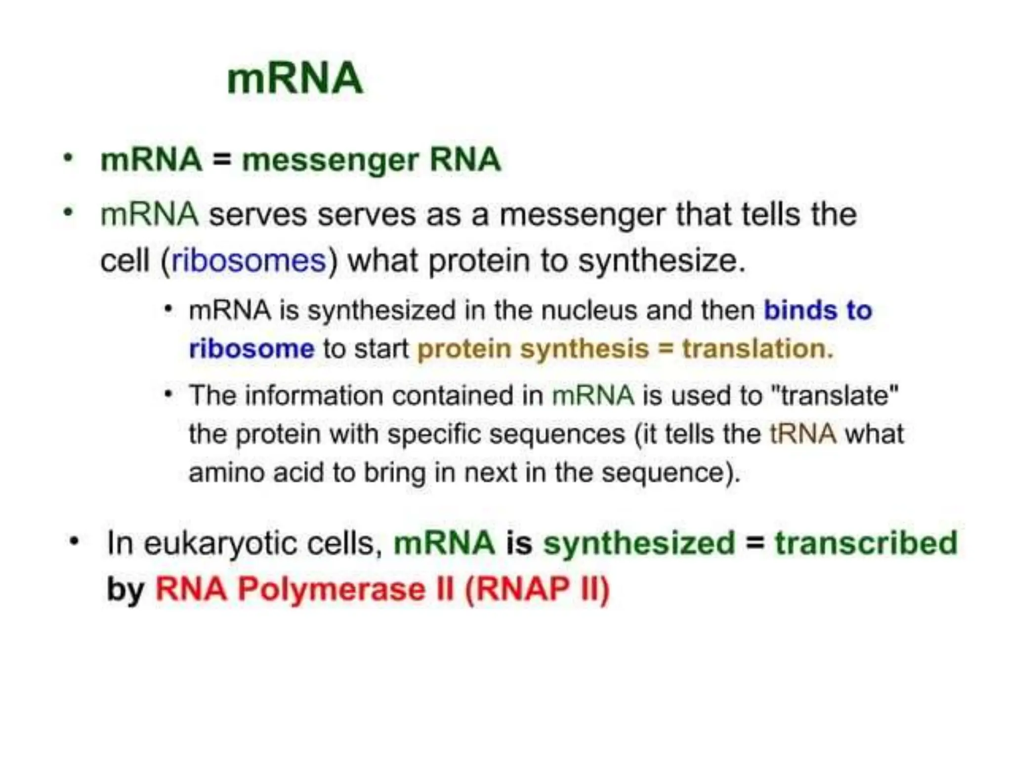 DNA and RNA REPLICATION overview. .pptx