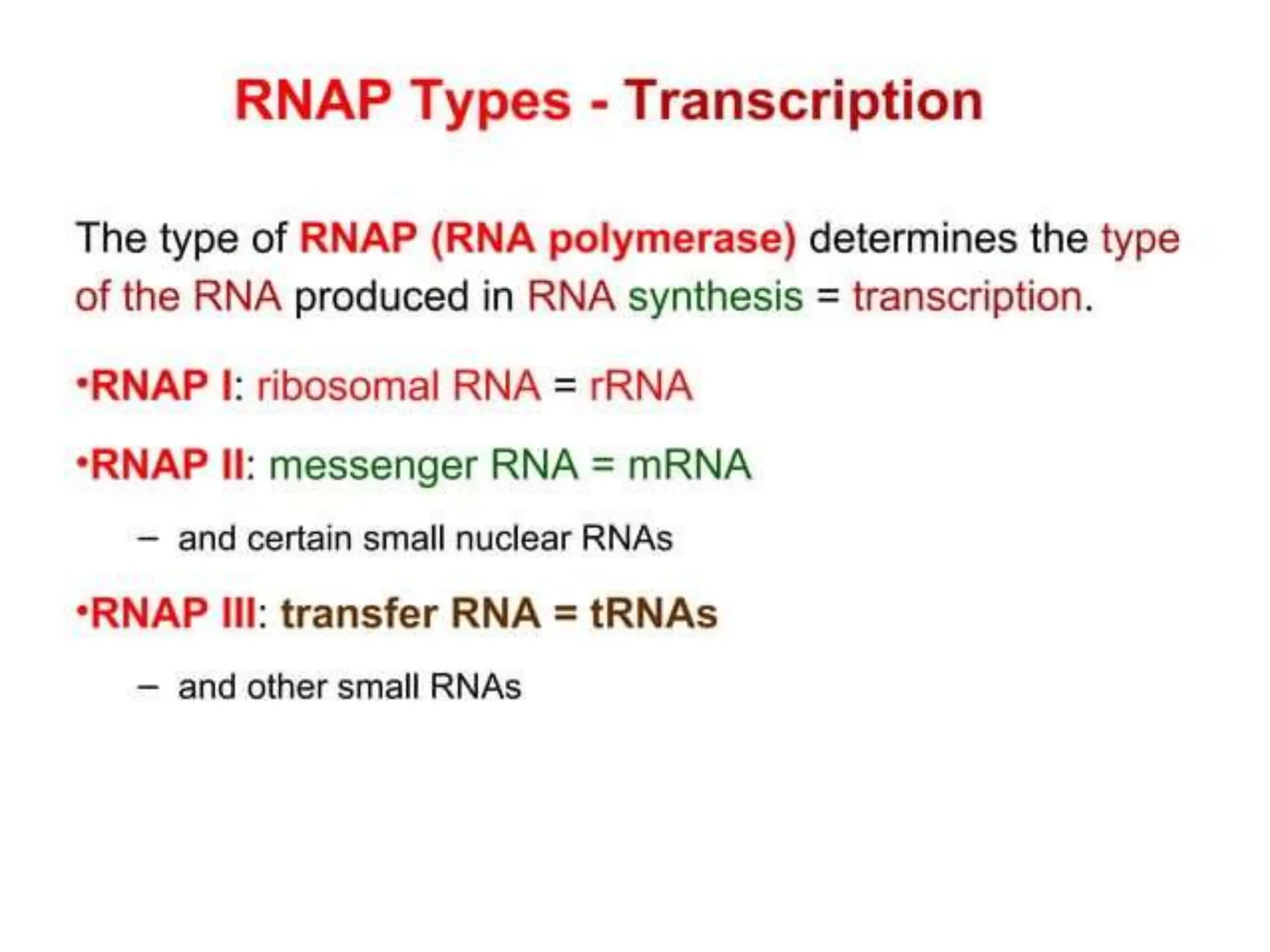 DNA and RNA REPLICATION overview. .pptx