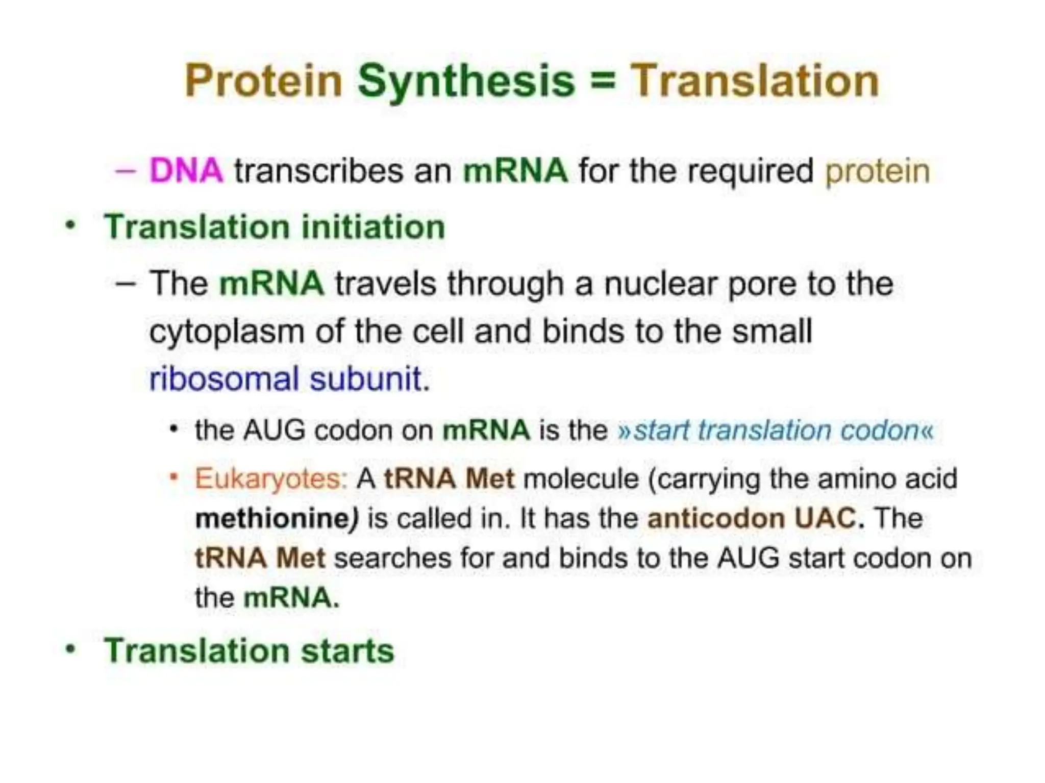 DNA and RNA REPLICATION overview. .pptx
