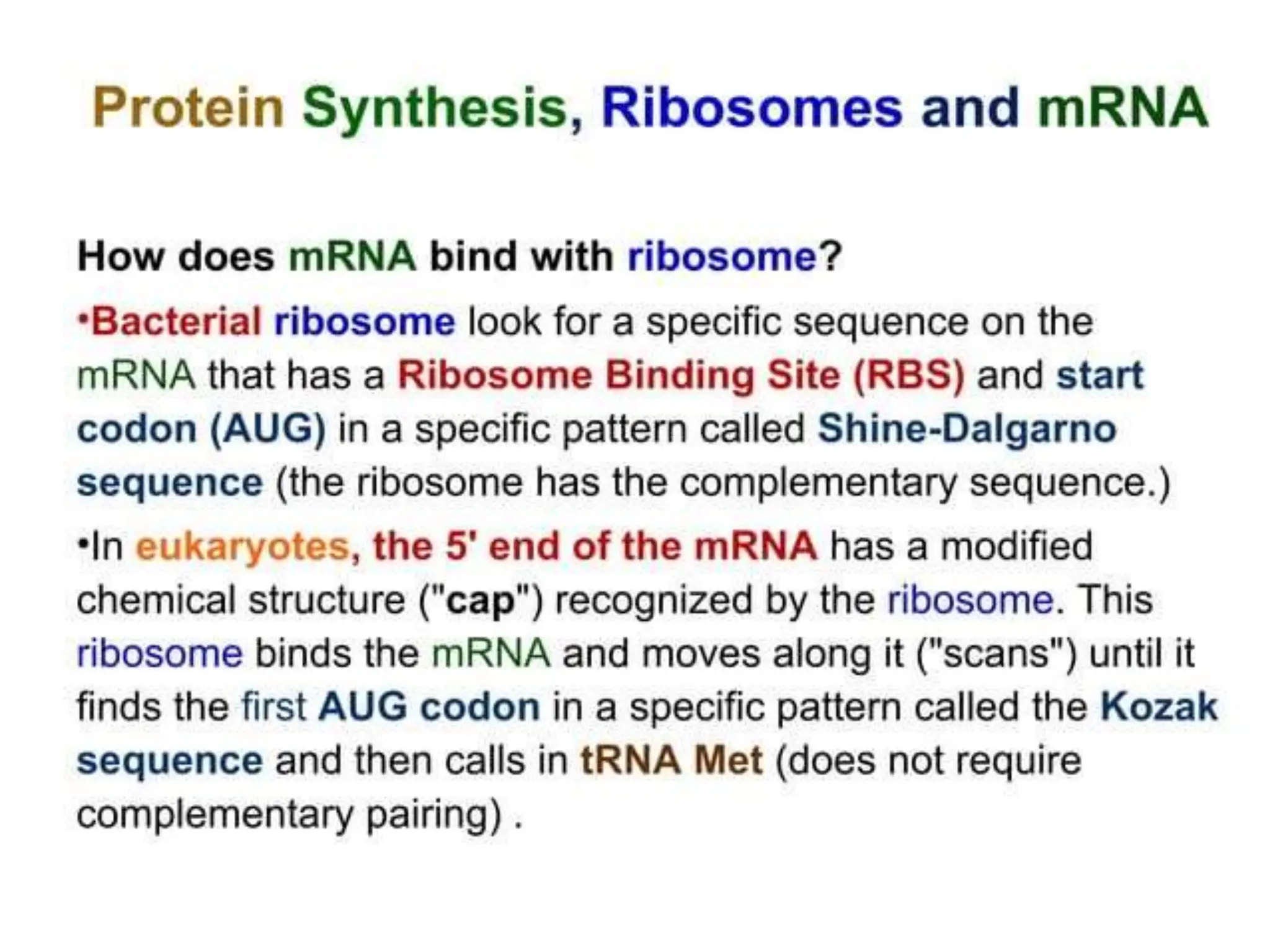 DNA and RNA REPLICATION overview. .pptx