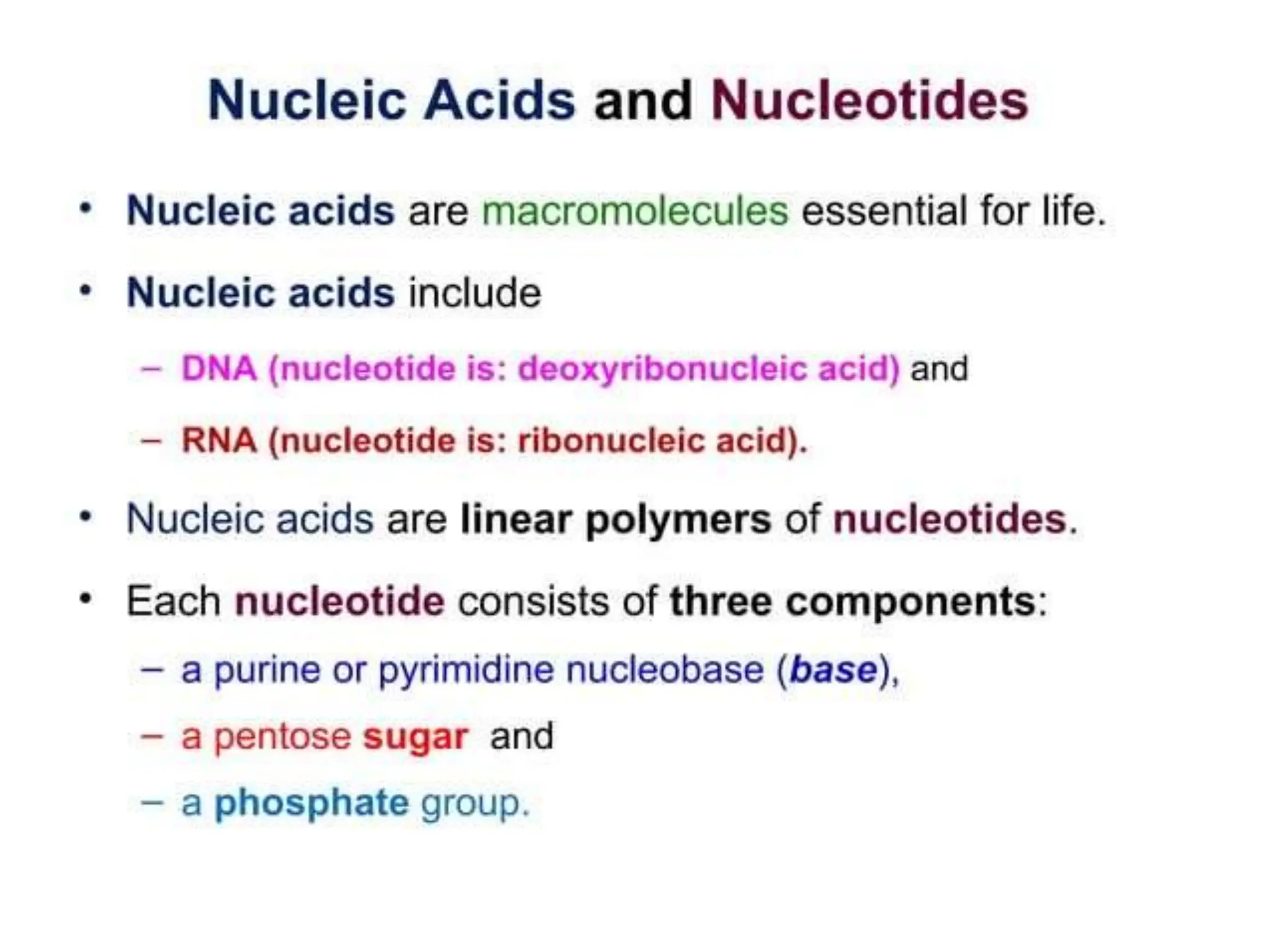 DNA and RNA REPLICATION overview. .pptx