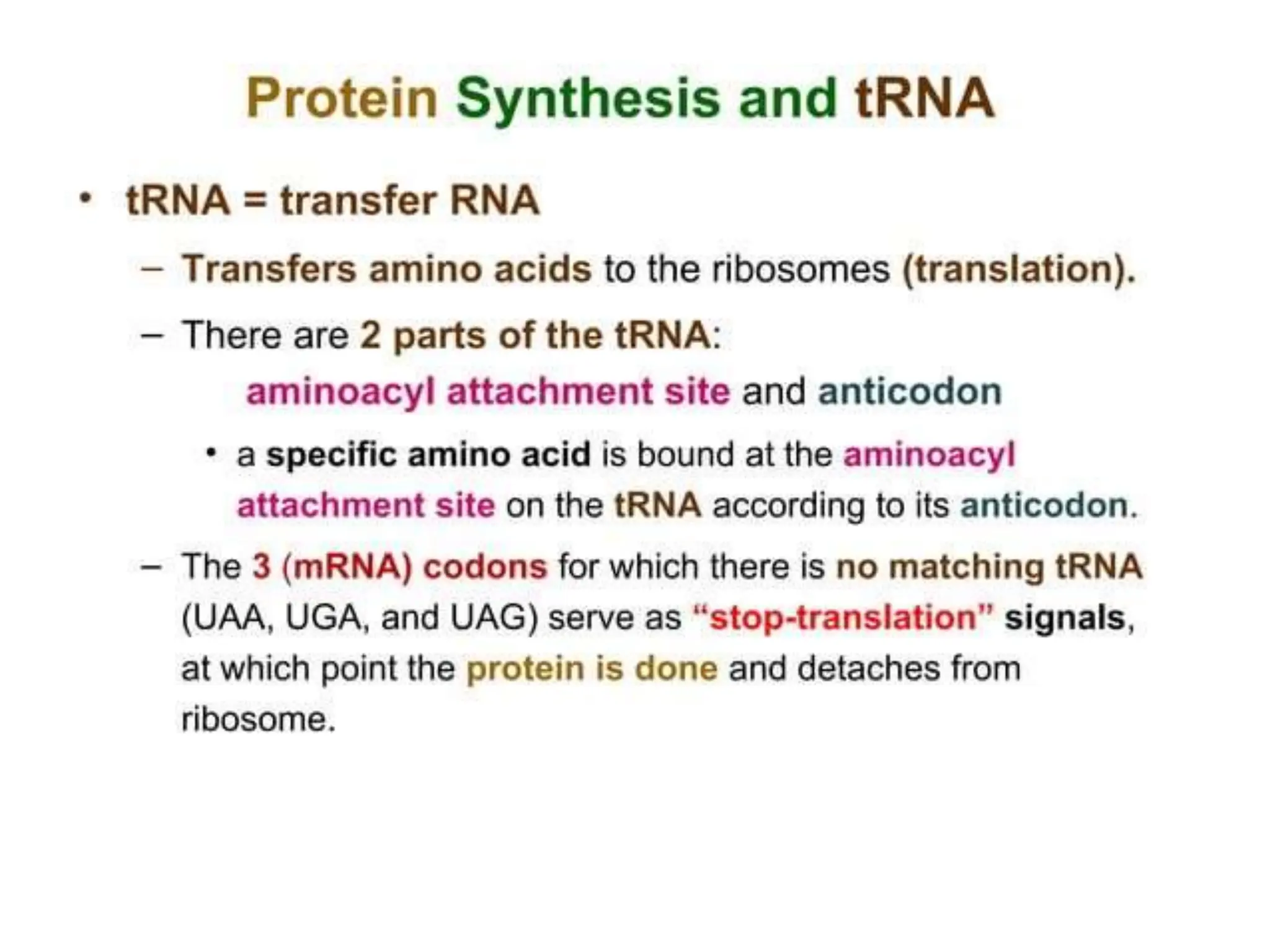 DNA and RNA REPLICATION overview. .pptx