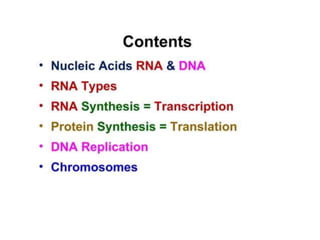 DNA and RNA REPLICATION overview. .pptx