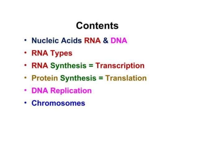 DNA and RNA REPLICATION overview. .pptx