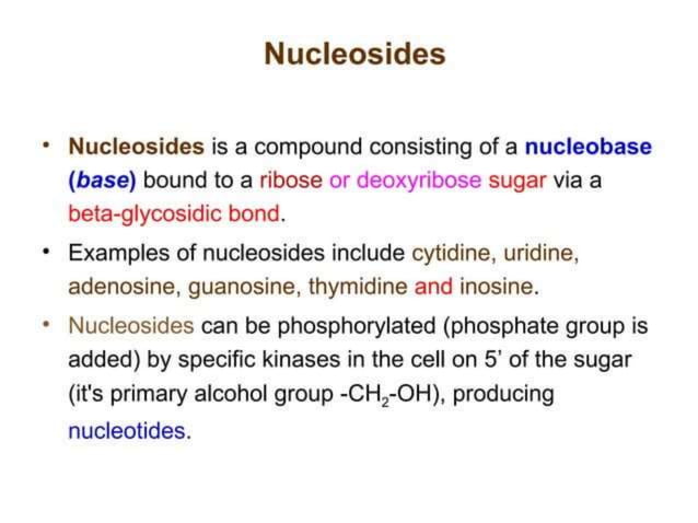 DNA and RNA REPLICATION overview. .pptx