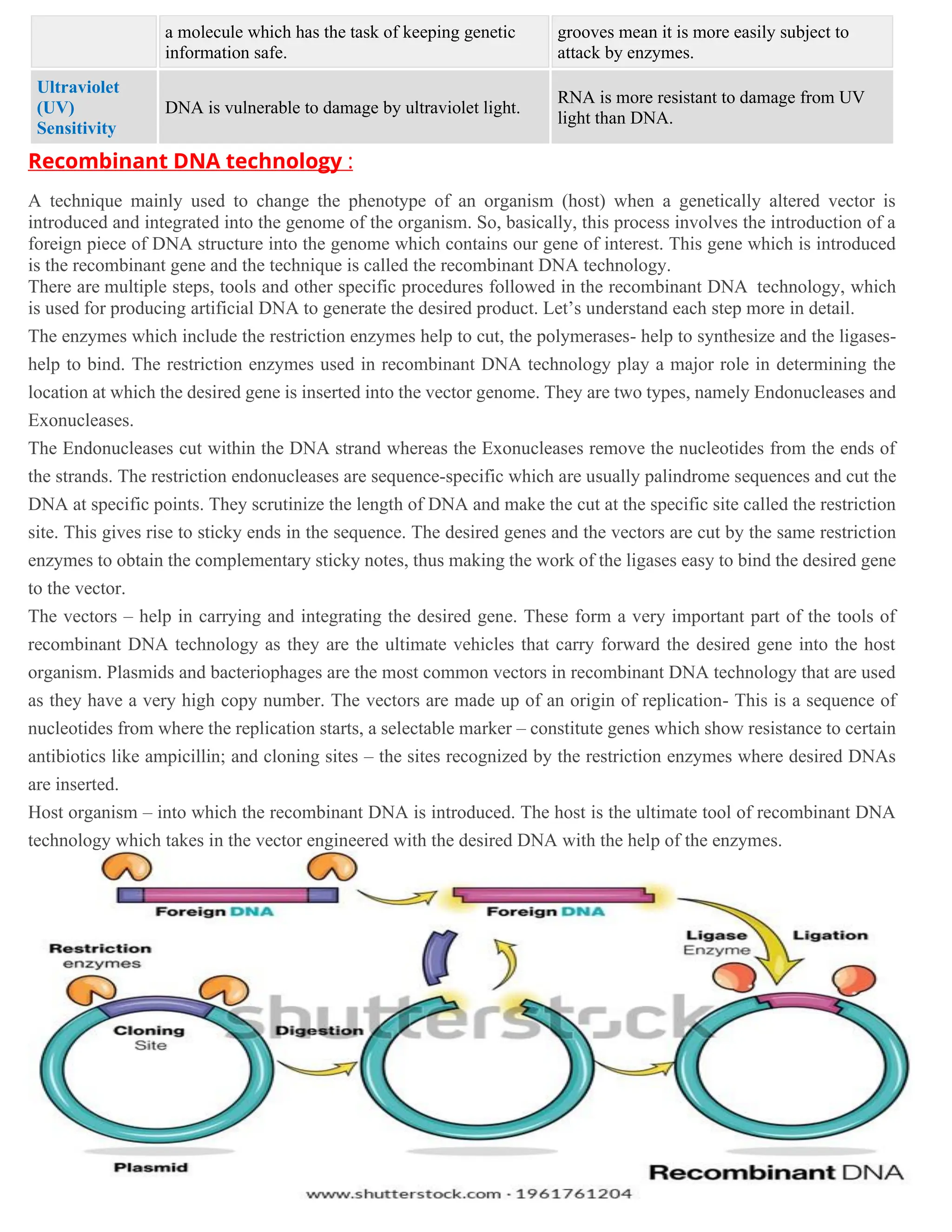 DNA & RNA structure.pdf