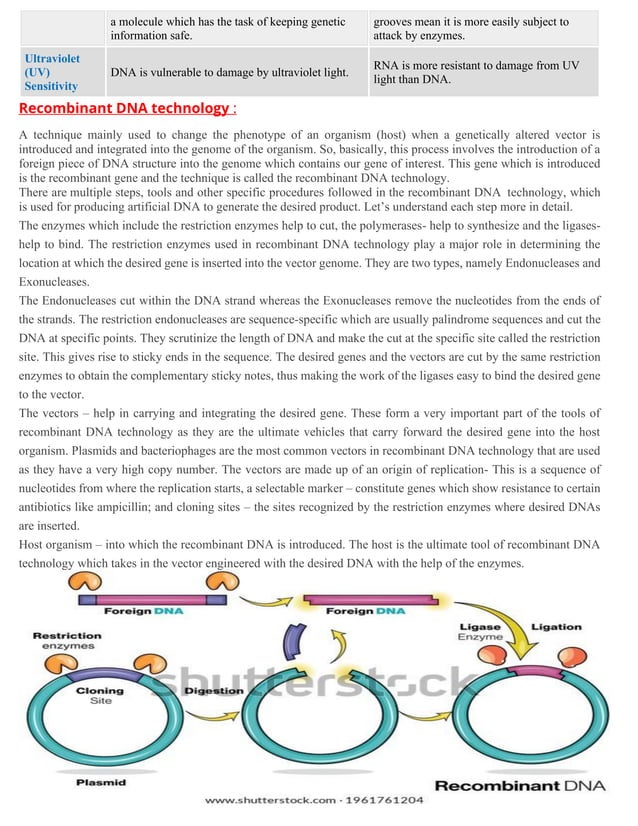 DNA & RNA structure.pdf
