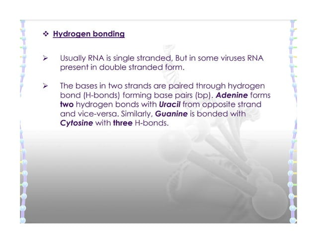 DNA & RNA structurea.pptx of fungi pathogens | PPTX