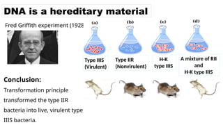 DNA, RNA, Watson Crick.pptx comprehensive lecture | PPT