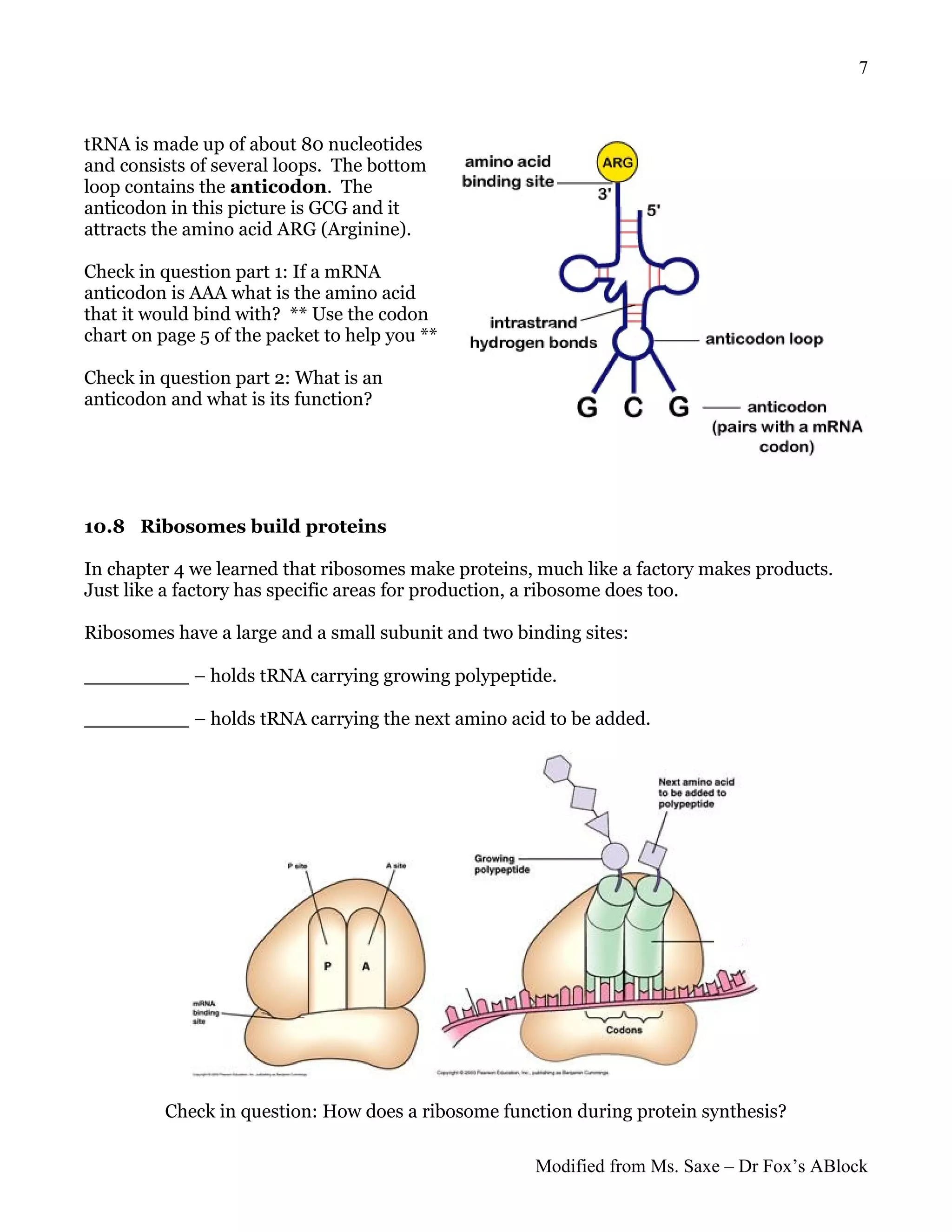 Dna rtt packet comprehensive (1 3 to start) | DOC