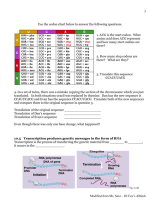 Dna rtt packet comprehensive (1 3 to start) | DOC