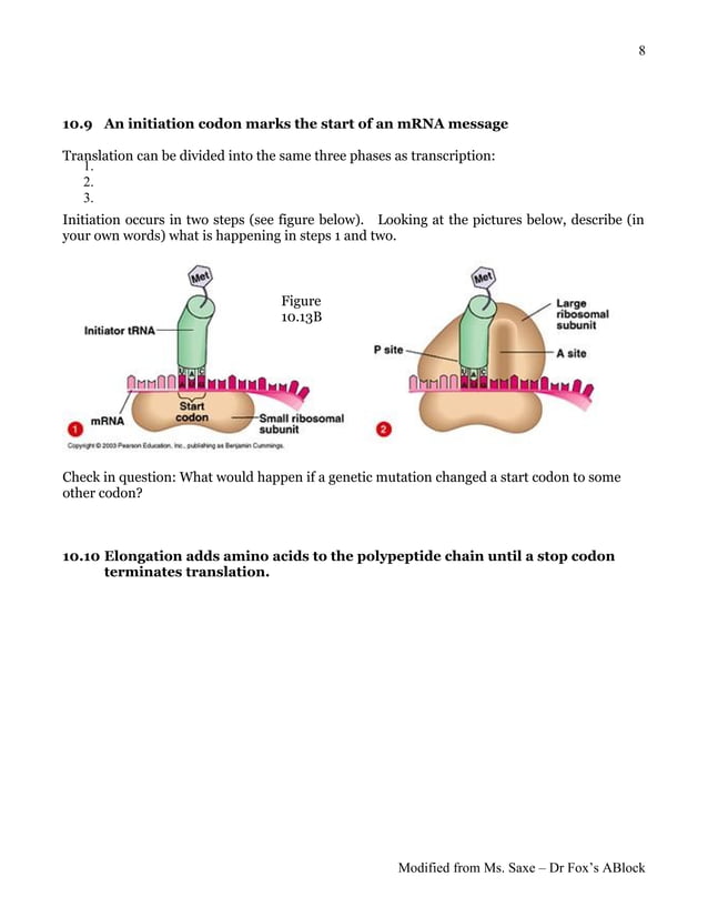 Dna rtt packet comprehensive (1 3 to start) | PDF