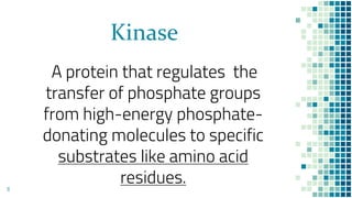 RECEPTOR SERINE THREONINE KINASE | PPTX