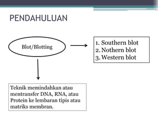 DNA sekensing dan hibridisasi | PPT
