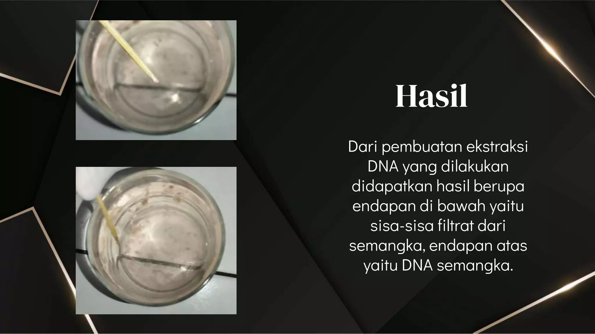 DNA SEMANGKA_KEL 17_KELAS J.pptx
