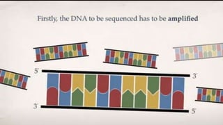 DNA Sequencing | PPT
