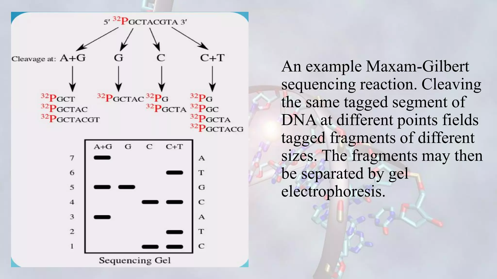 DNA SEQUENCE ANALYSIS.pdf