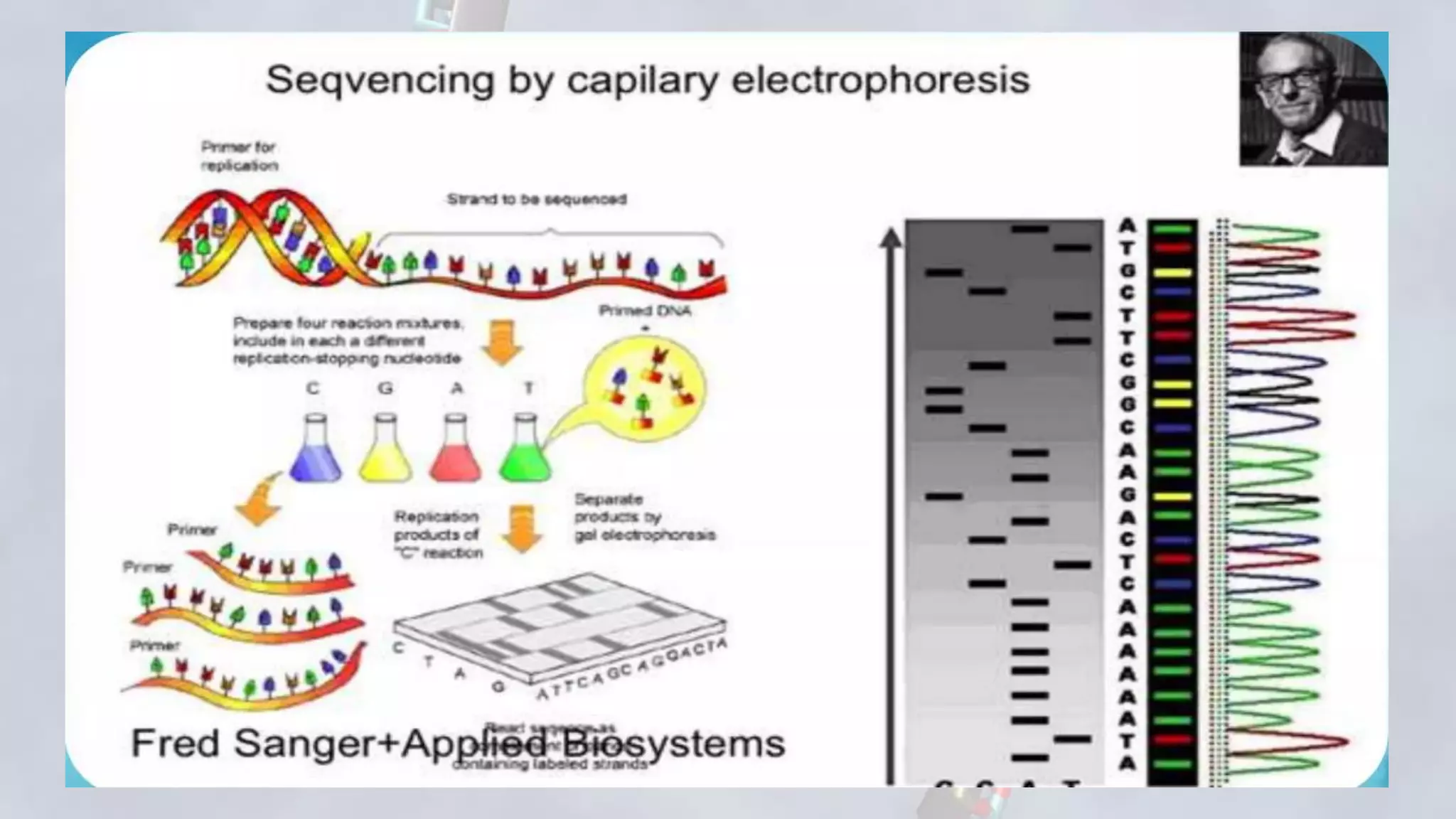 DNA SEQUENCE ANALYSIS.pdf