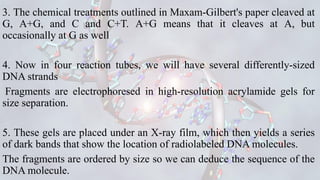DNA SEQUENCE ANALYSIS.pdf