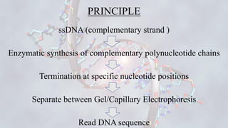 DNA SEQUENCE ANALYSIS.pdf