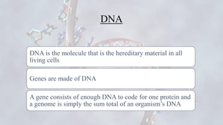 DNA SEQUENCE ANALYSIS.pdf
