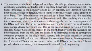 DNA SEQUENCE ANALYSIS.pdf