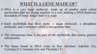 DNA SEQUENCE ANALYSIS.pdf