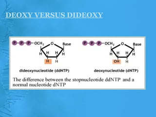 Dna Sequencing | PPT