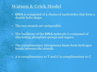 Dna Sequencing | PPT