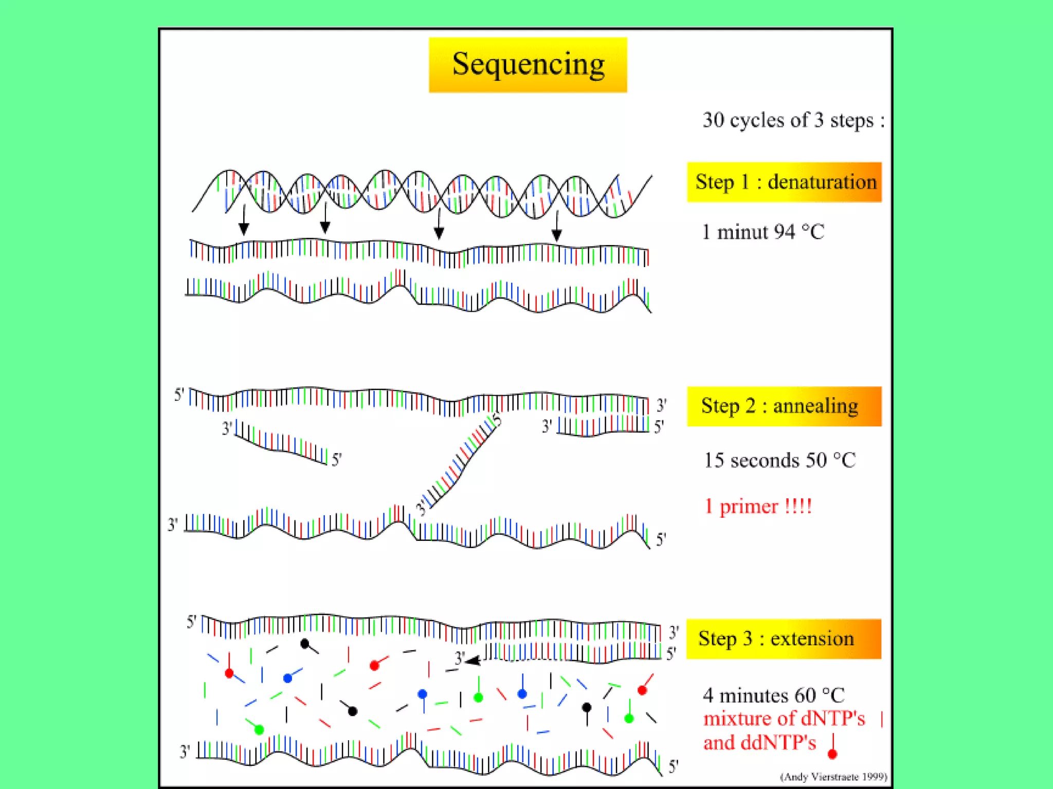 Dna sequencing | PPT