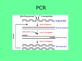 Dna sequencing | PPT