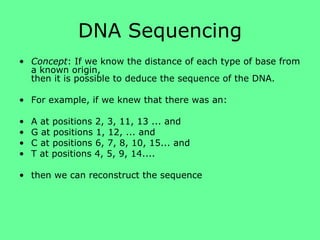 Dna sequencing | PPT