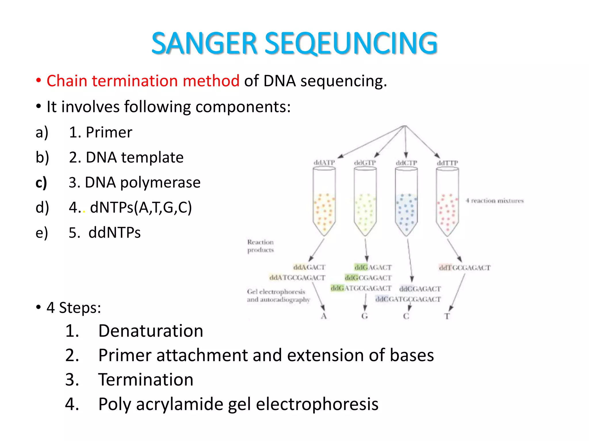 DNA Sequencing | PPTX