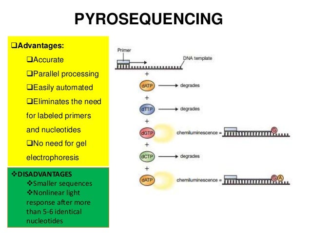 DNA Sequencing