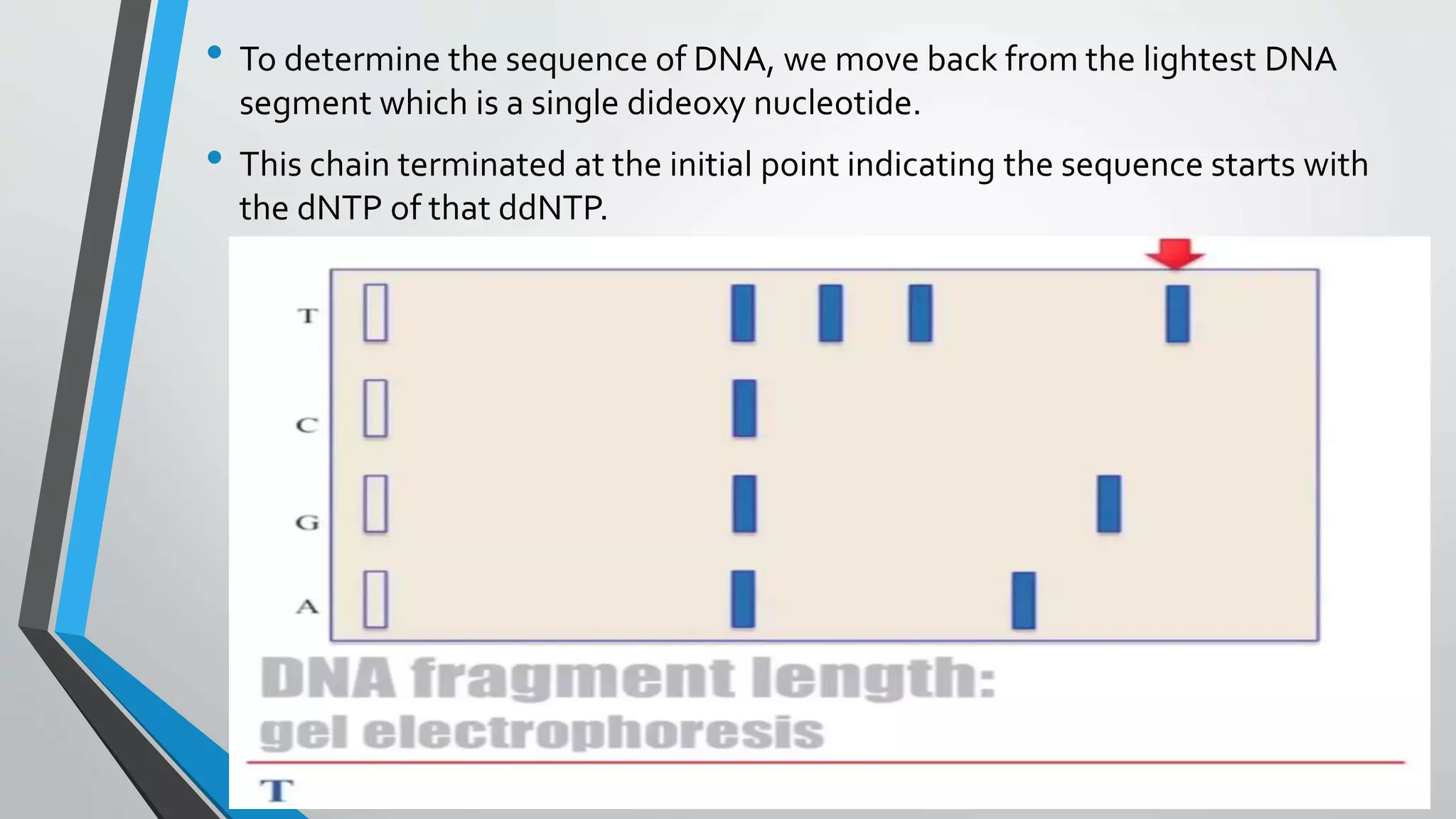 Dna sequencing by Dideoxy method | PPTX