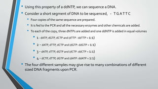 Dna sequencing by Dideoxy method | PPTX