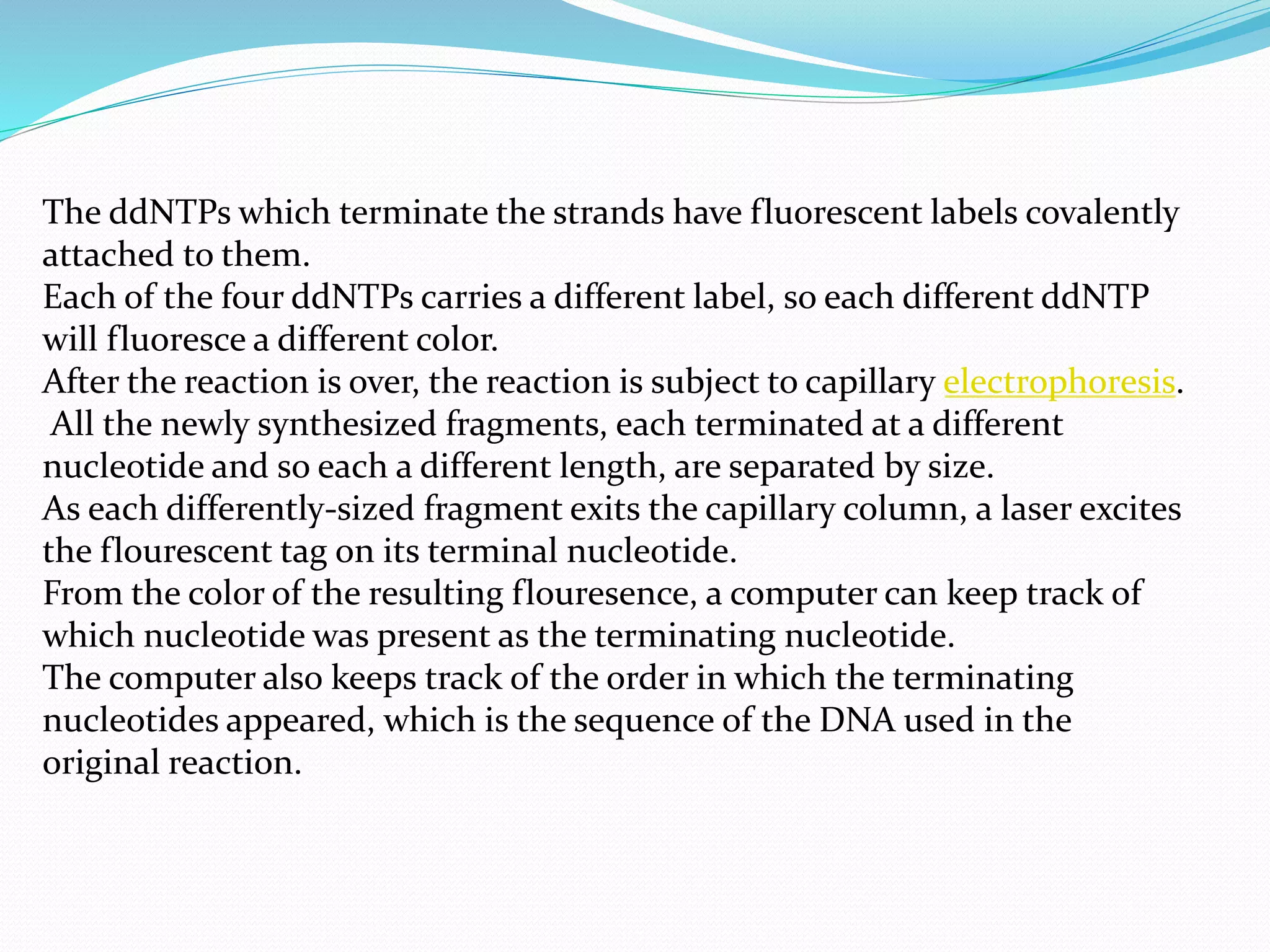 DND sequencing | PPTX