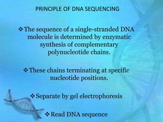Dna sequencing | PPT