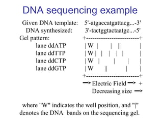 Dna sequencing | PPT