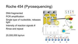 Dna sequencing | PPT
