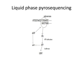 Dna sequencing | PPT