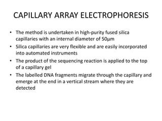 Dna sequencing | PPT