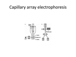 Dna sequencing | PPT