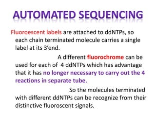 Dna sequencing | PPT