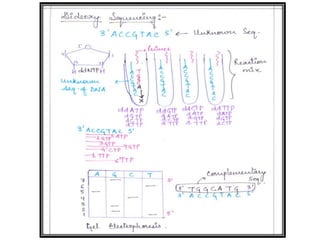 Dna sequencing | PPT