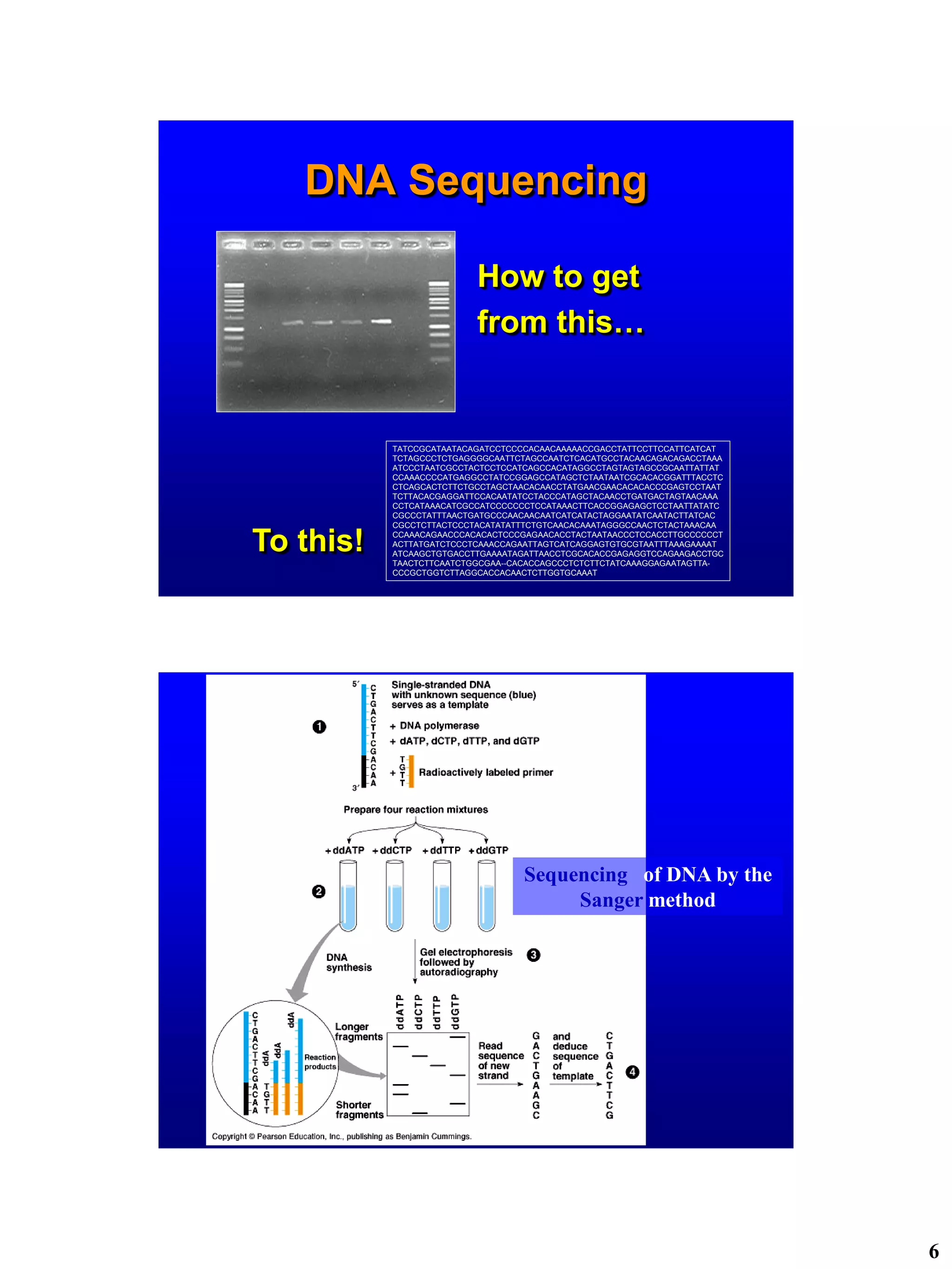 Dna sequencing | PDF | Chemistry | Science