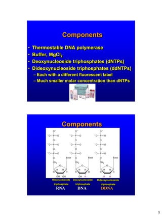 Dna sequencing | PDF | Chemistry | Science