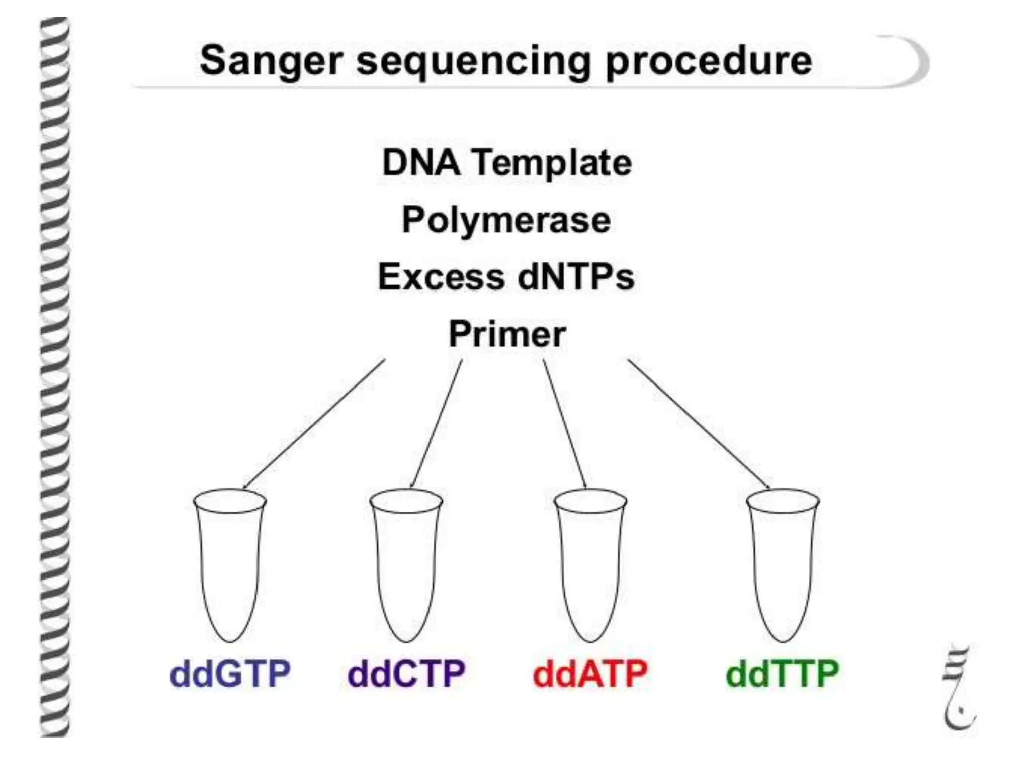Dna sequencing | PPT